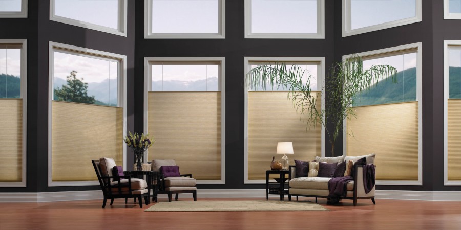 Make an Informed Choice: The Key Aspects of the Different Types of ...